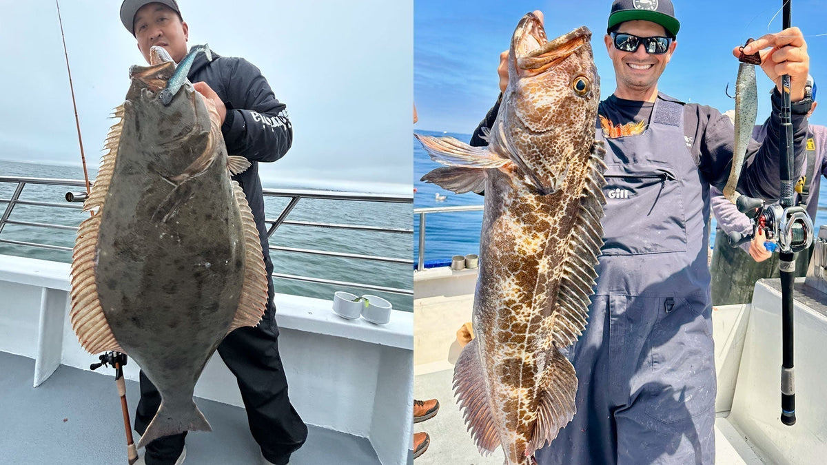 Rockfish, Halibut & Lingcod Pro Tips: Fishing the Bad Bubba Shad Like ...