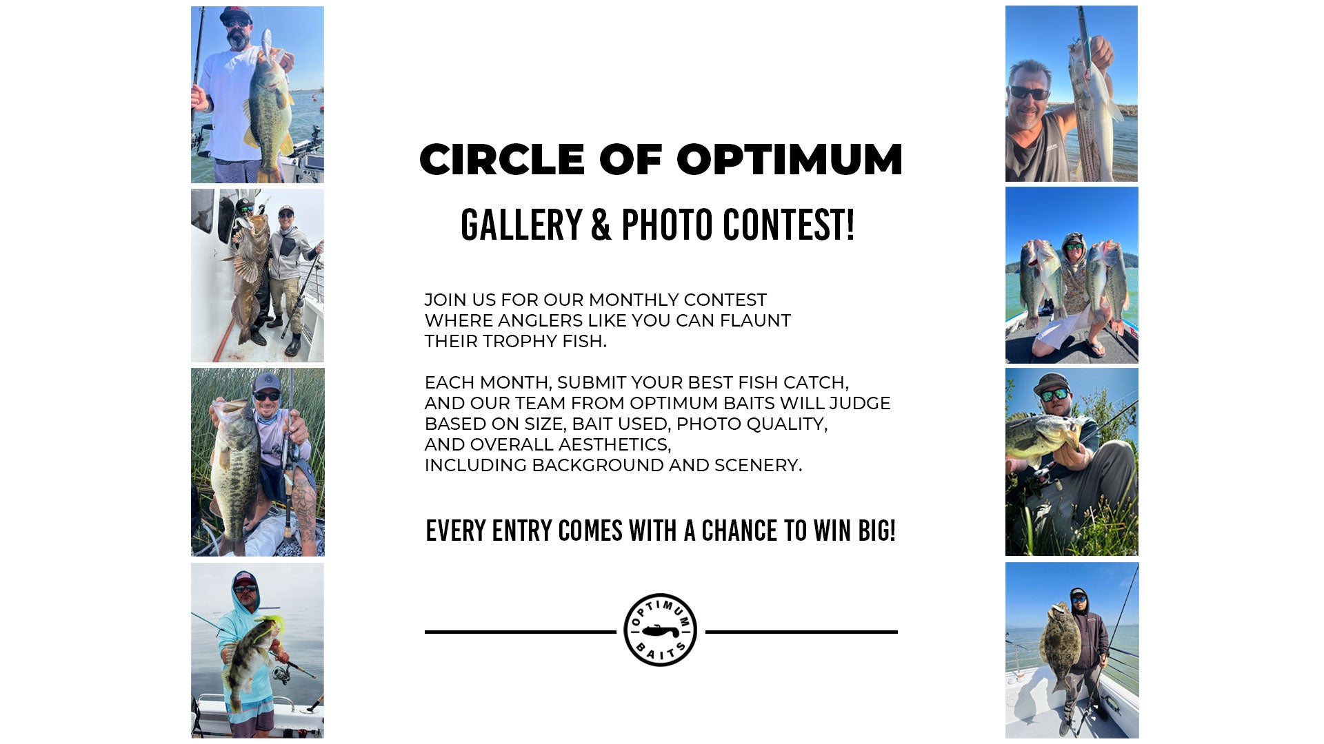 AA Worms-The Lunker's Choice – AA Worms - The Lunker's Choice