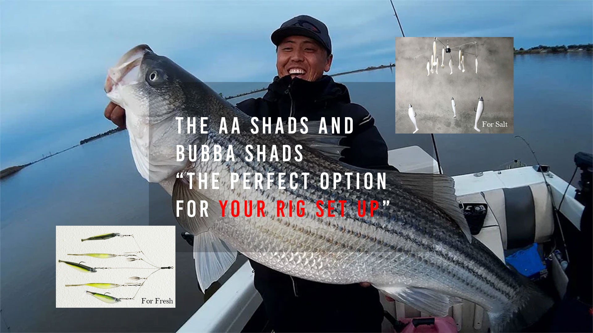 AA Worms-The Lunker's Choice – AA Worms - The Lunker's Choice